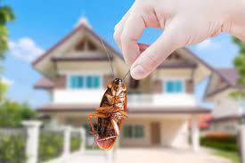 Why Pest Control is Important - BUGCO® Pest Control
